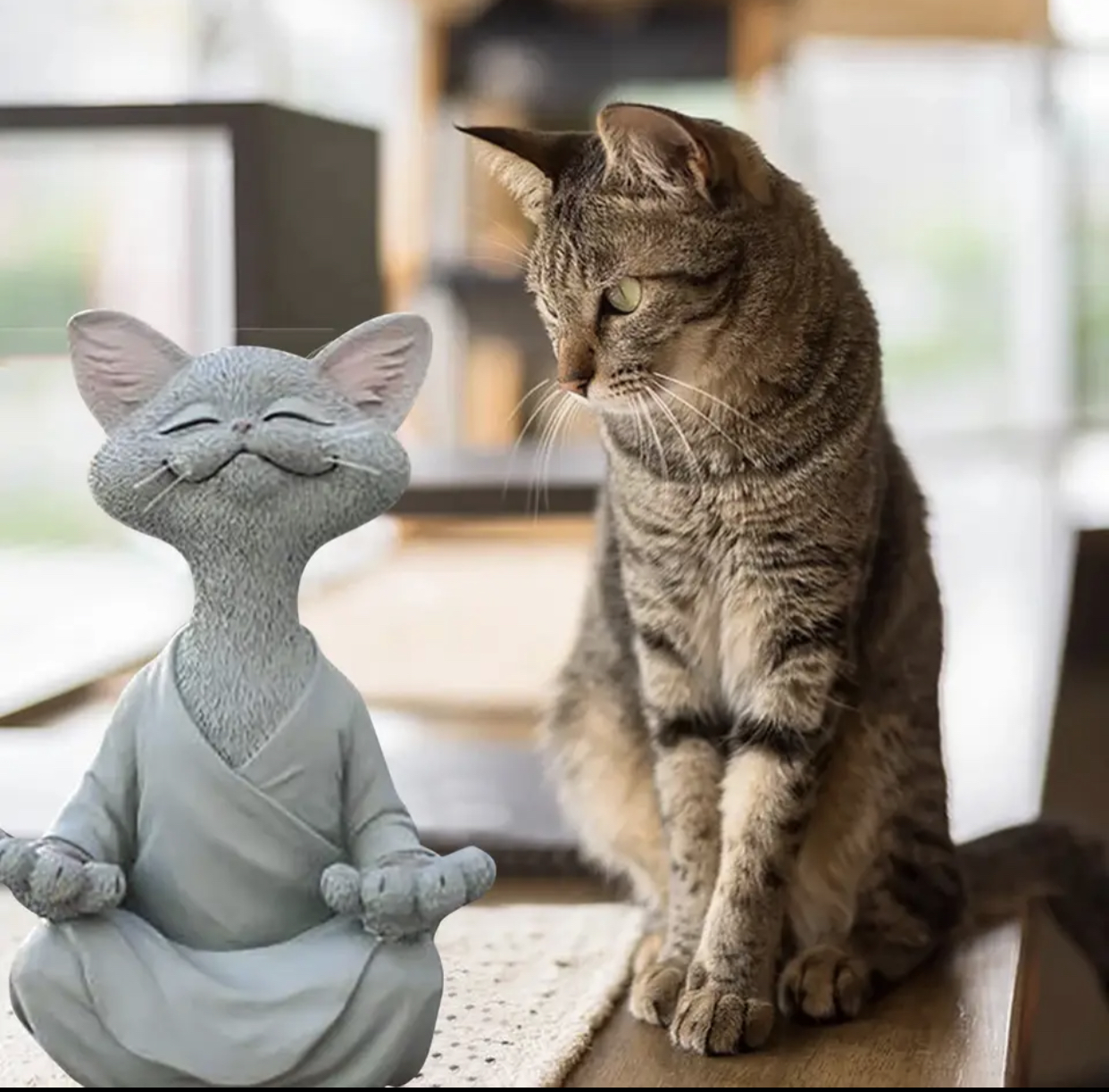 Idées cadeau pour les amoureux des chats